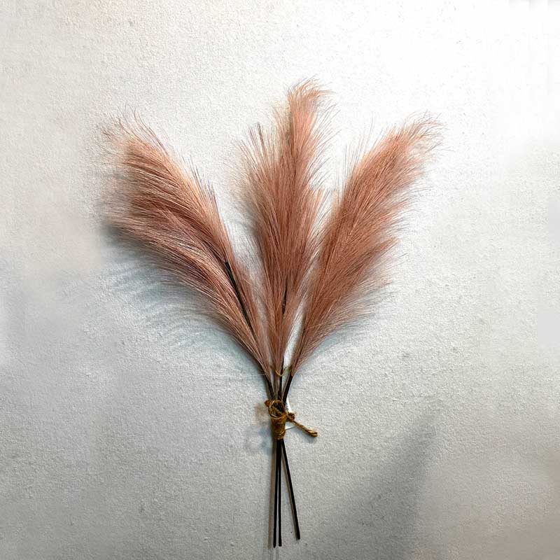 Grandes Decoraciones De Plumas Plumas De Colores DRAGON Surtido X 12